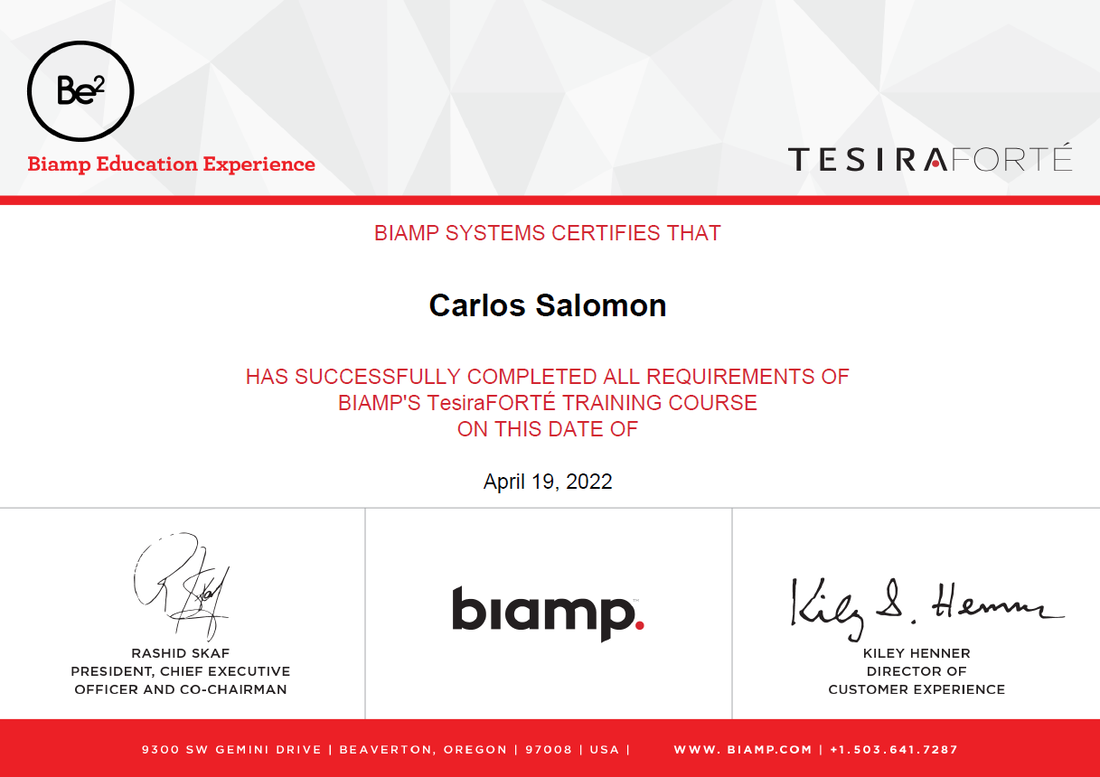 Carlos Salomón, CTS-ECP - CEO - Salomon Consultores AV | LinkedIn